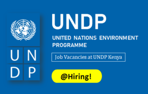UNDP Jobs in Kenya (2026) – Latest Vacancies & Updates